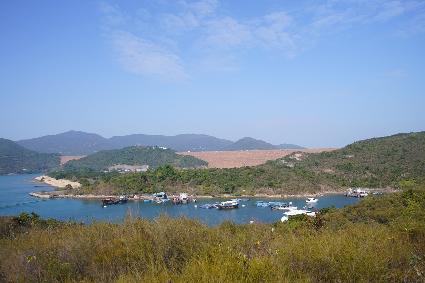 大蛇灣 Tai She Wan ｜行山路線 ‧ 資訊