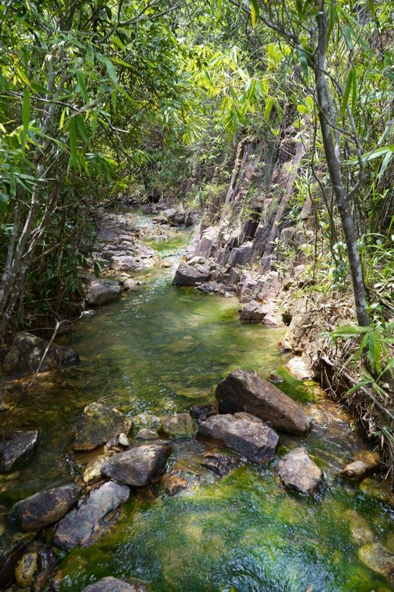 蠄蟝坑 Kam Kui Hang ｜行山路線 ‧ 資訊