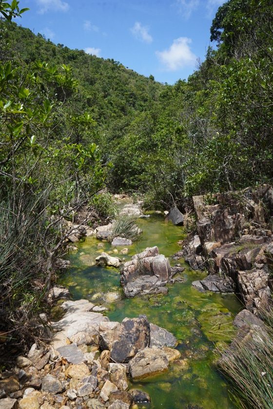 蠄蟝坑 Kam Kui Hang ｜行山路線 ‧ 資訊