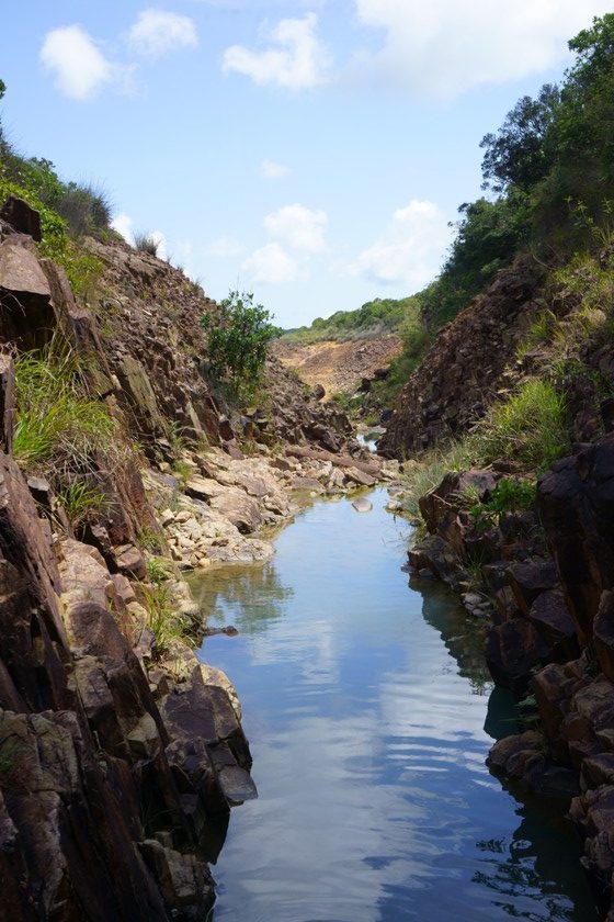 蠄蟝坑 Kam Kui Hang ｜行山路線 ‧ 資訊
