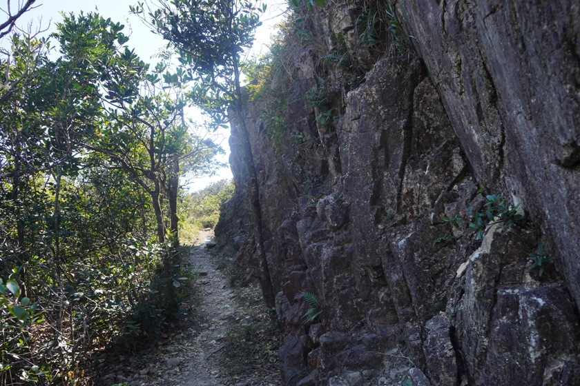 奇力山 Mount Kellett ｜行山路線 ‧ 資訊